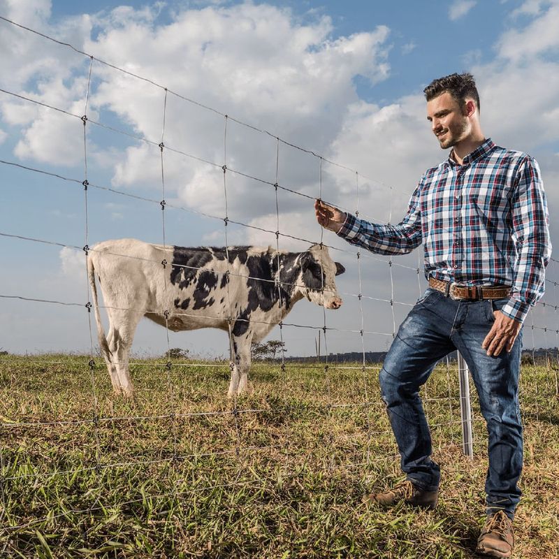Cerca Pronta Cercar 9 Belgo - 50m | Alvorada