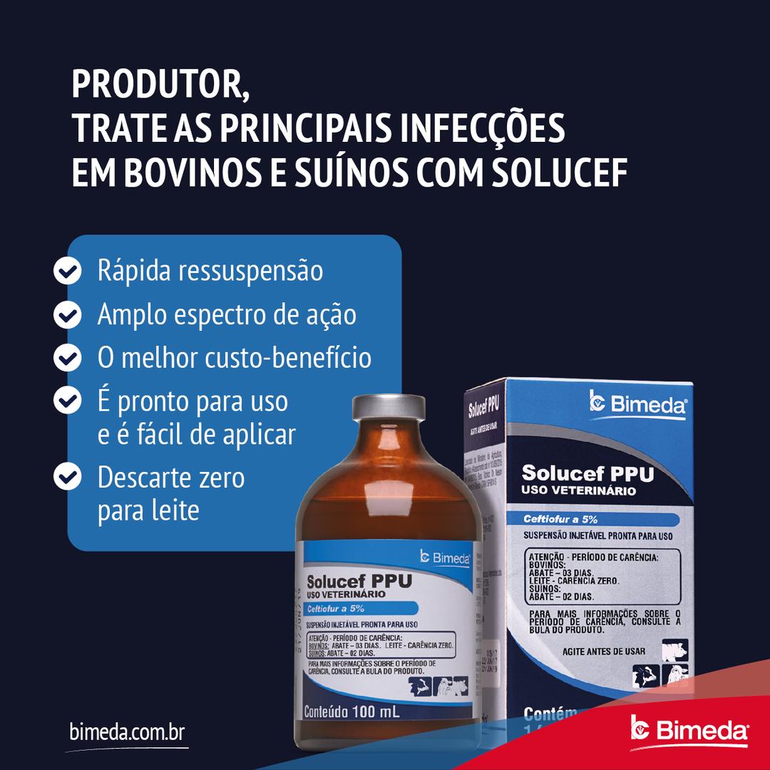 Solucef PPU - Ceftiofur - Bimeda - 100ml | Alvorada